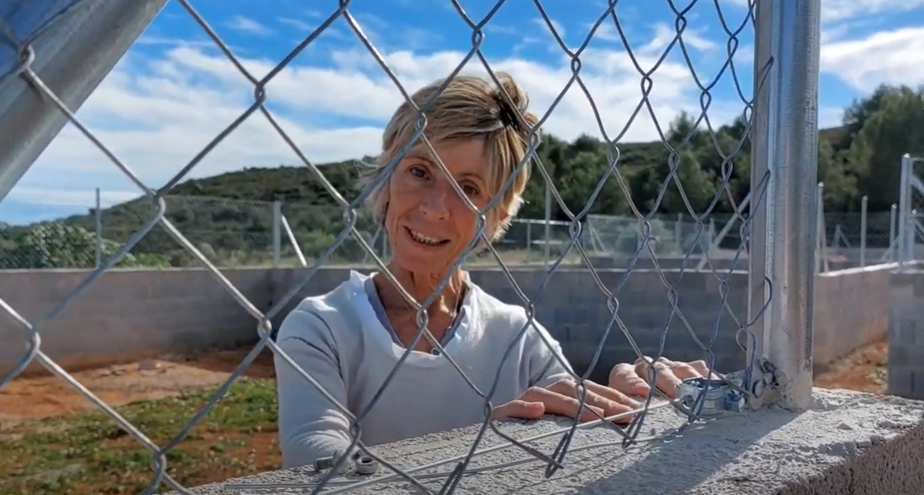 Catland build update: nitty-gritty and fencing! - Catland Javea